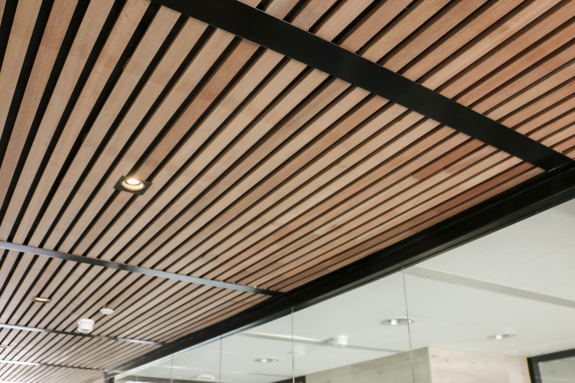 Impressies van De Econoom | De Econoom